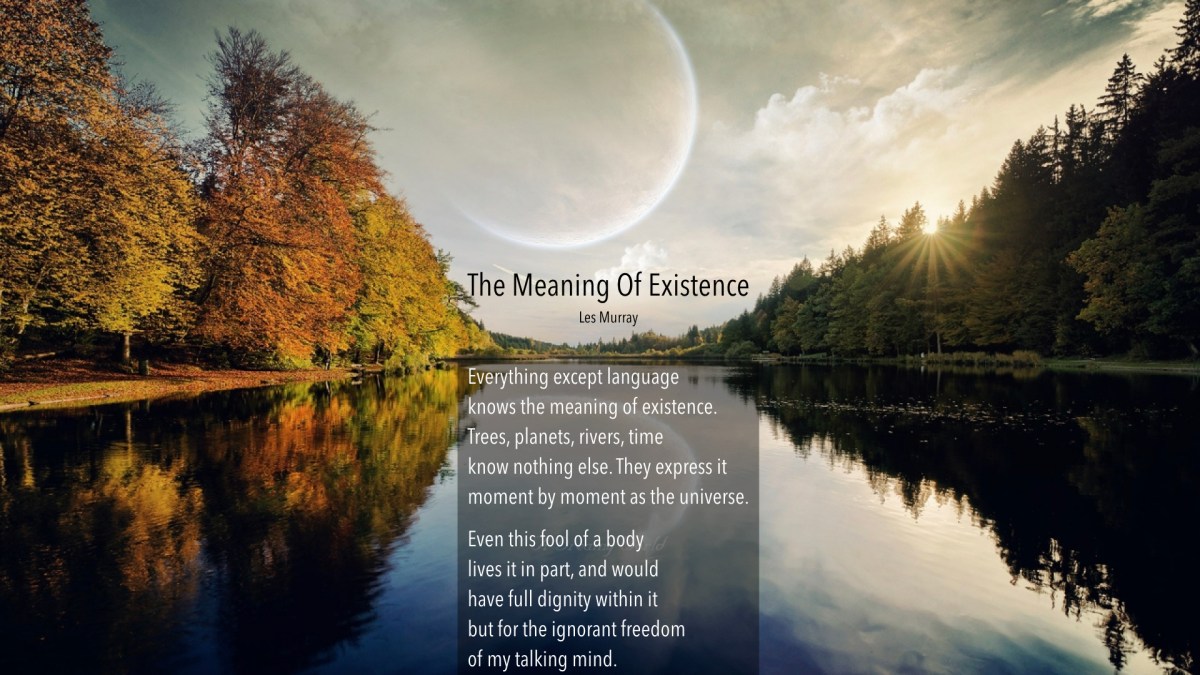 Some thoughts on ‘The Meaning Of Existence’ by Les Murray | Mike Finn's ...