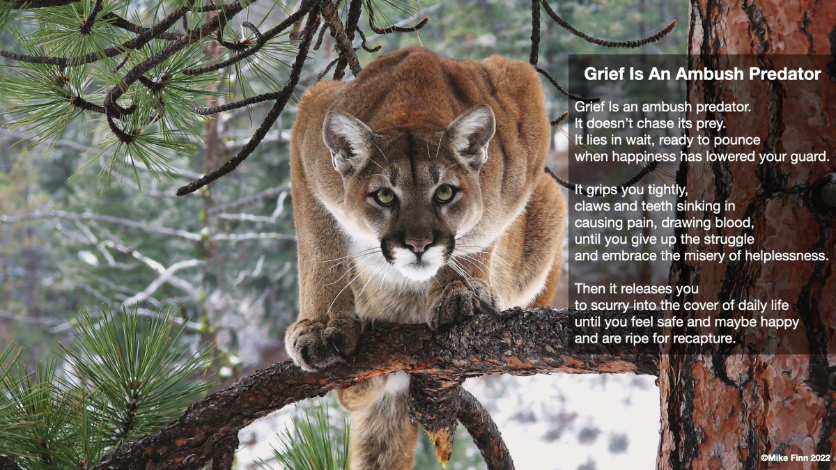 ‘Grief Is An Ambush Predator’ by Mike Finn | Mike Finn's Fiction