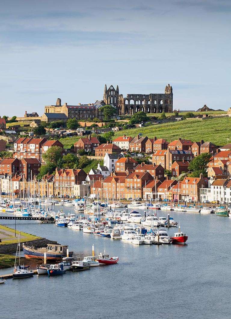 whitby-abbey-and-harbour | Mike Finn's Fiction