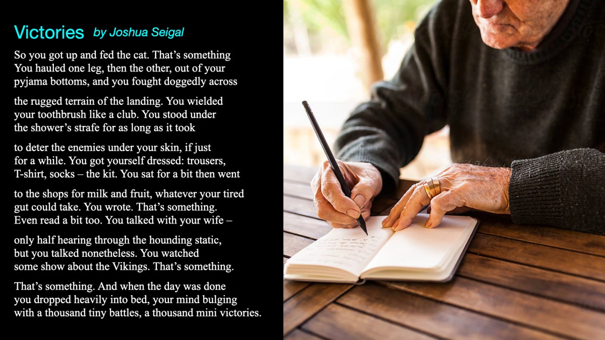 Some thoughts on ‘Victories’ by Joshua Seigal and the poetry of real ...